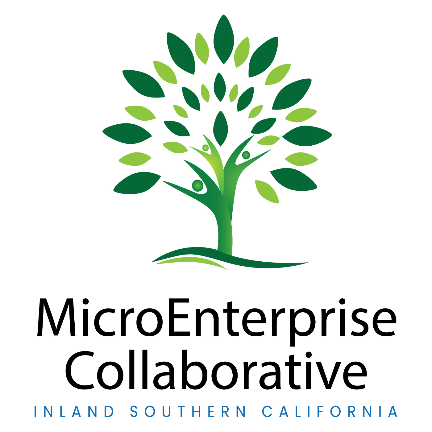 Small Business Integrity Initiative - Microenterprise Collaborative